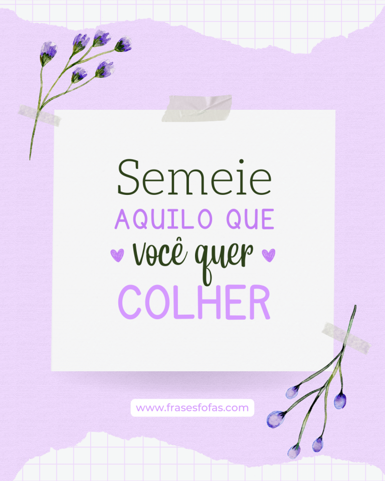 Frases para Refletir e Pensar - 100 Mensagens de Reflexão